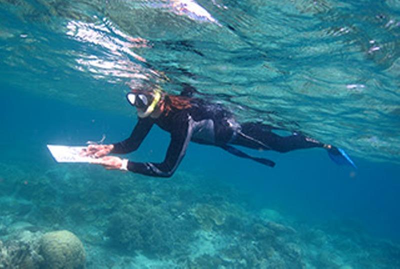 Citizen science in action