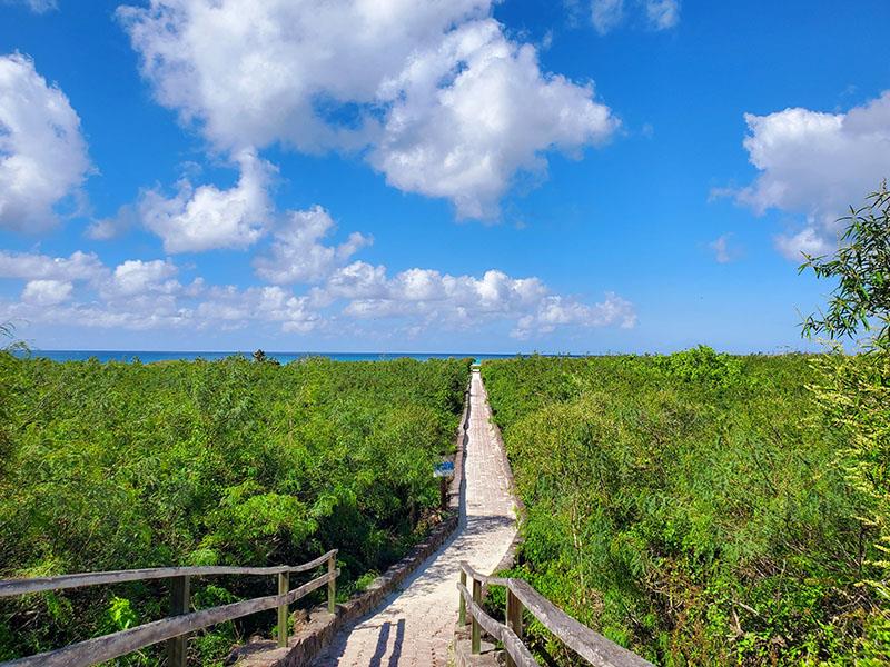 World ARC 2024-25 - Beautiful beaches in Santa Cruz