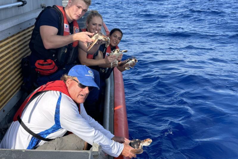 NOAA releases 79 Florida loggerhead sea turtles into the wild