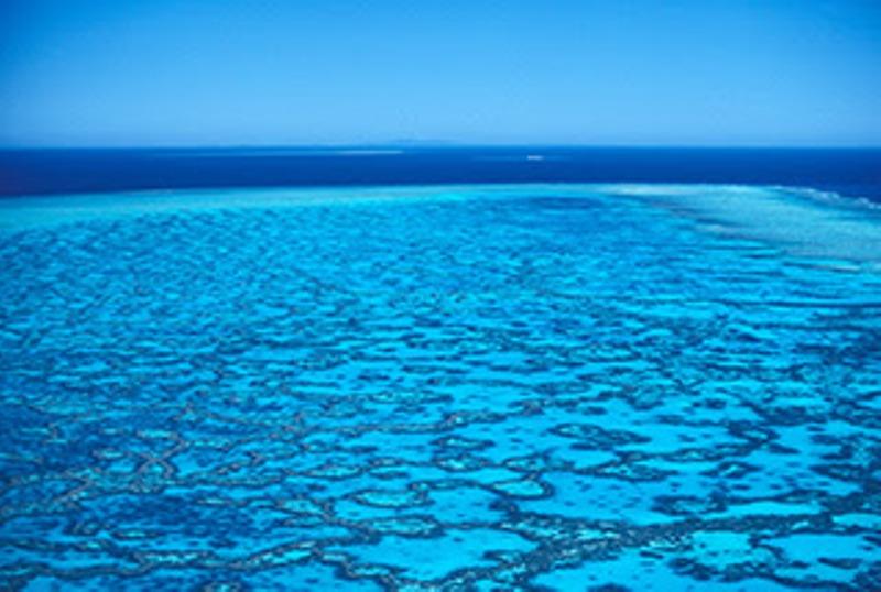 Statement: Great Barrier Reef Marine Park - Queensland Shark Control ...