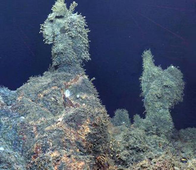 Exciting new creatures discovered on ocean floor